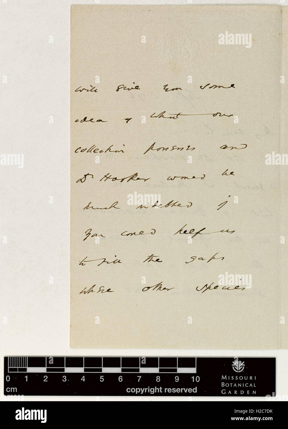 Thomas engelmann hi-res stock photography and images - Alamy