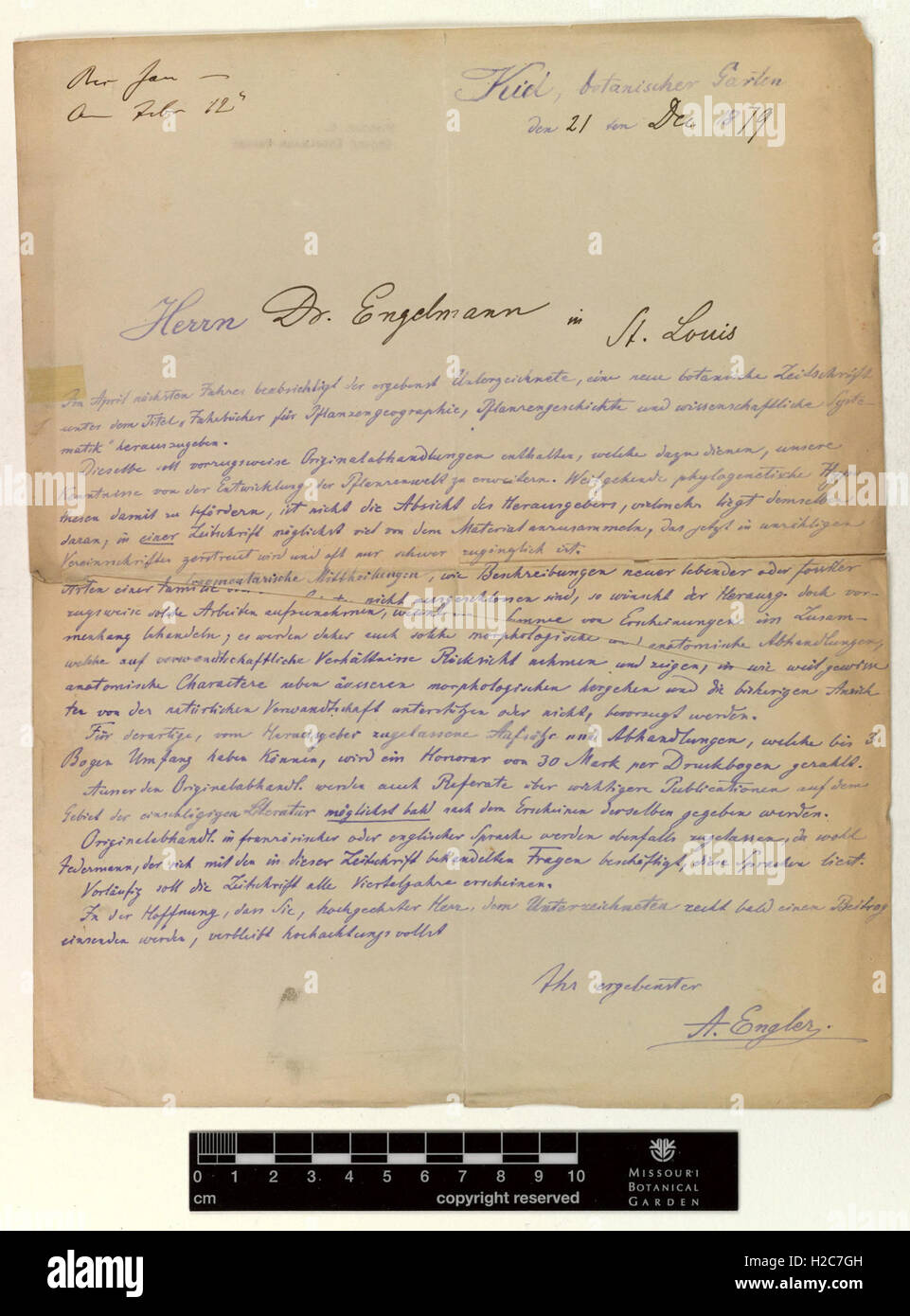 This correspondence between Adolph Engler and George Engelmann from ...