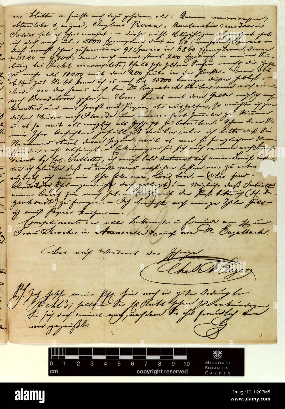 This correspondence between Karl Geyer and George Engelmann discusses ...