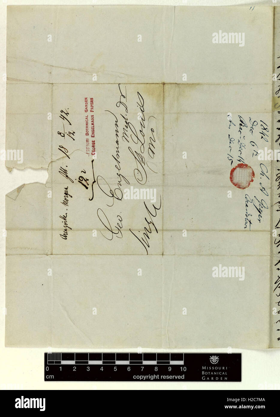 Correspondence - Geyer (Karl) and Engelmann (George) (Dec 06, 1842 (2 ...