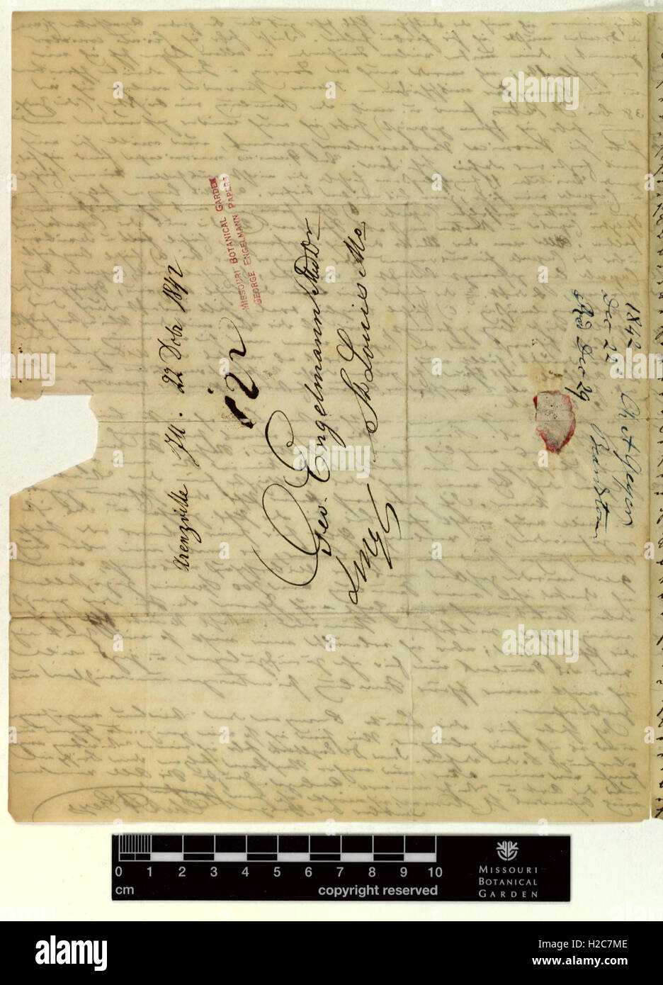 A letter exchange between Karl Geyer and George Engelmann dated ...