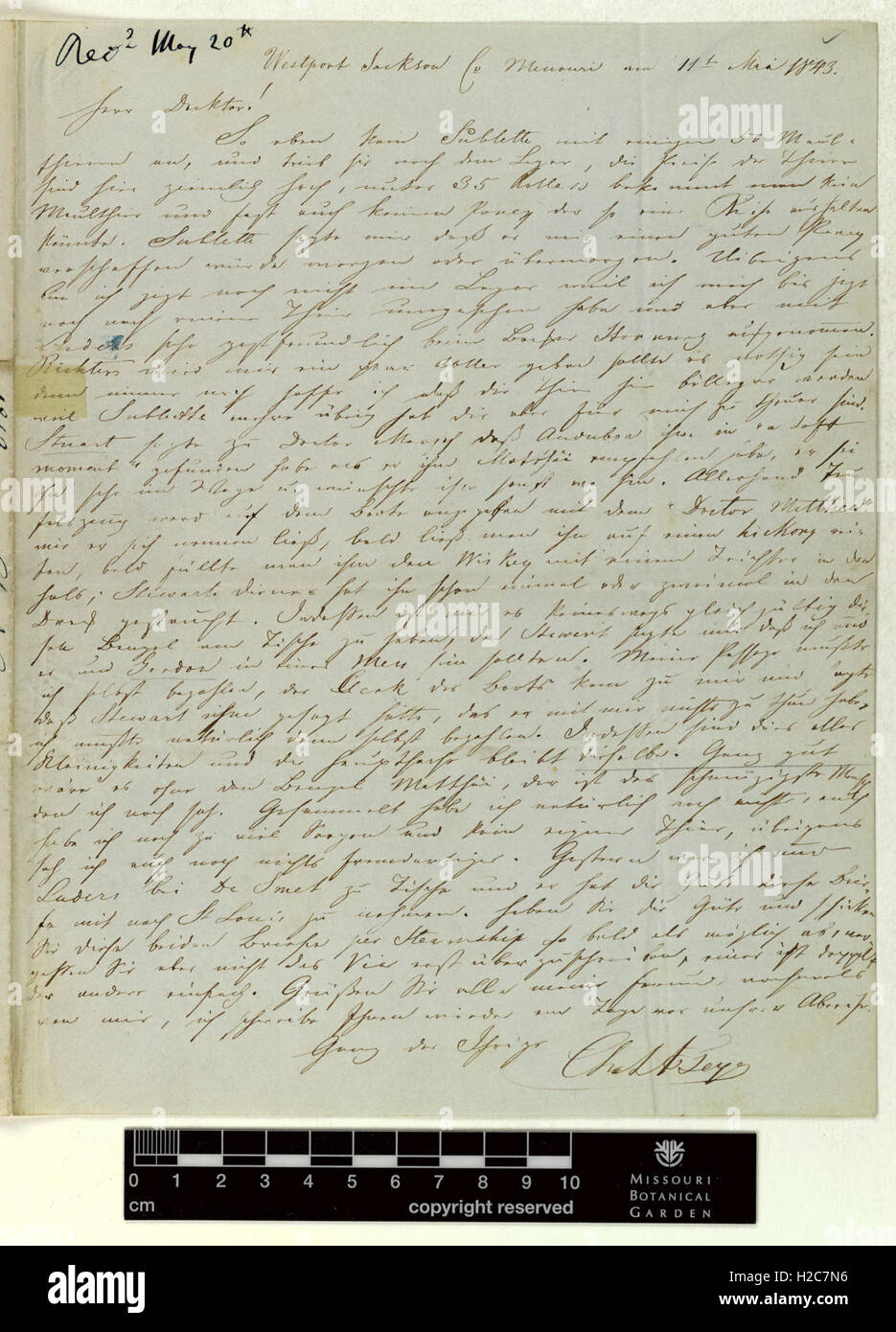 A historical letter exchange between Karl Geyer and George Engelmann ...