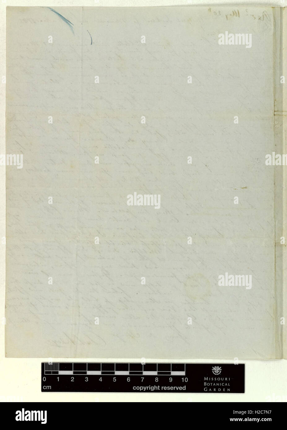 Correspondence - Geyer (Karl) and Engelmann (George) (May 11, 1843 (1 ...