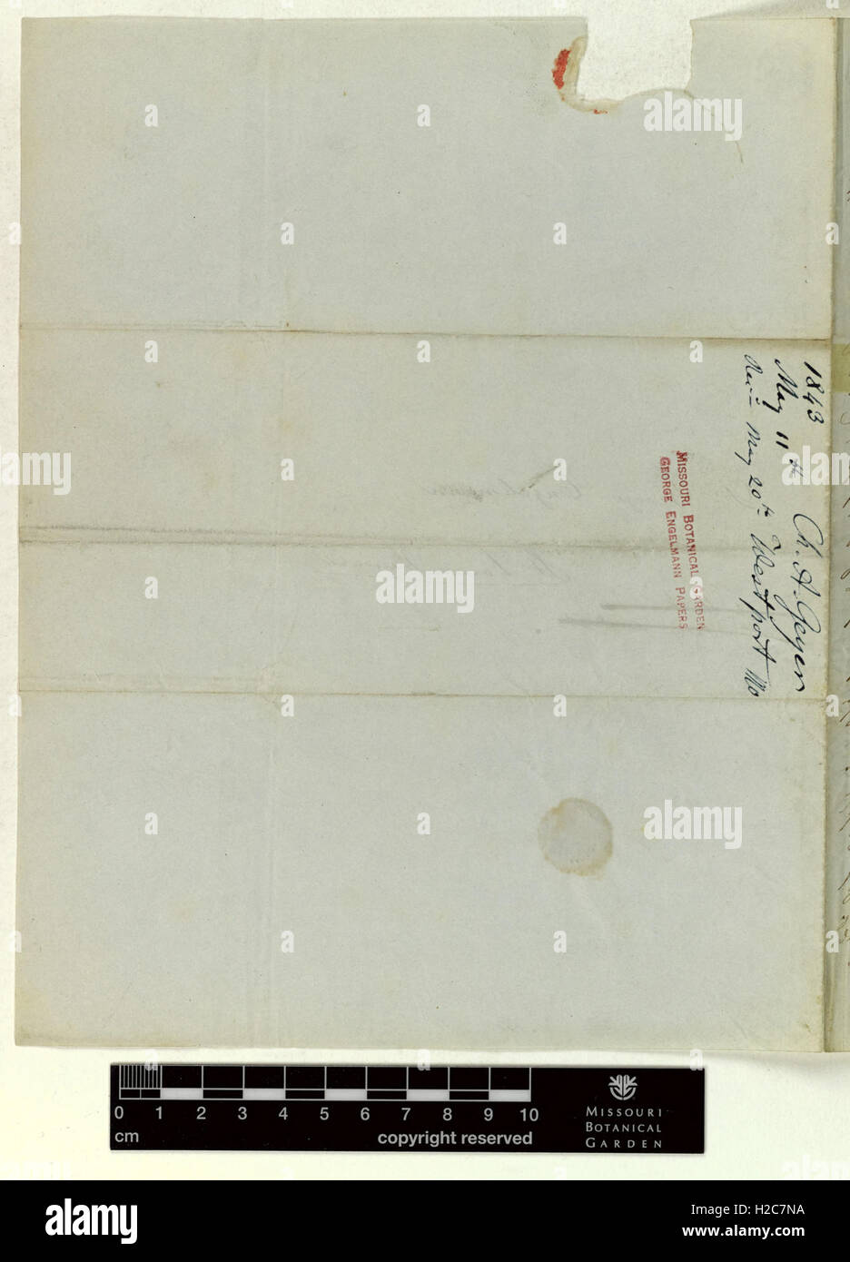 This letter correspondence between Karl Geyer and George Engelmann from ...