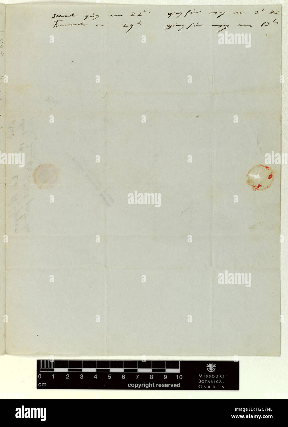 This correspondence between Karl Geyer and George Engelmann provides ...