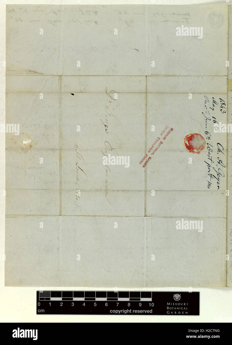 Correspondence - Geyer (Karl) and Engelmann (George) (May 16, 1843 (2 ...