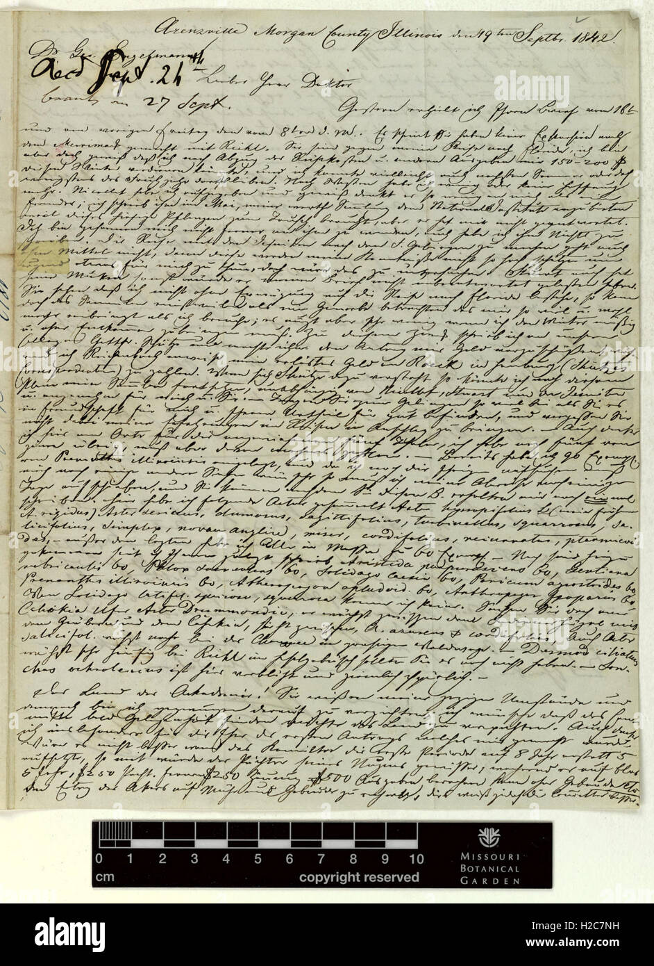 A historical record of correspondence between Karl Geyer and George ...
