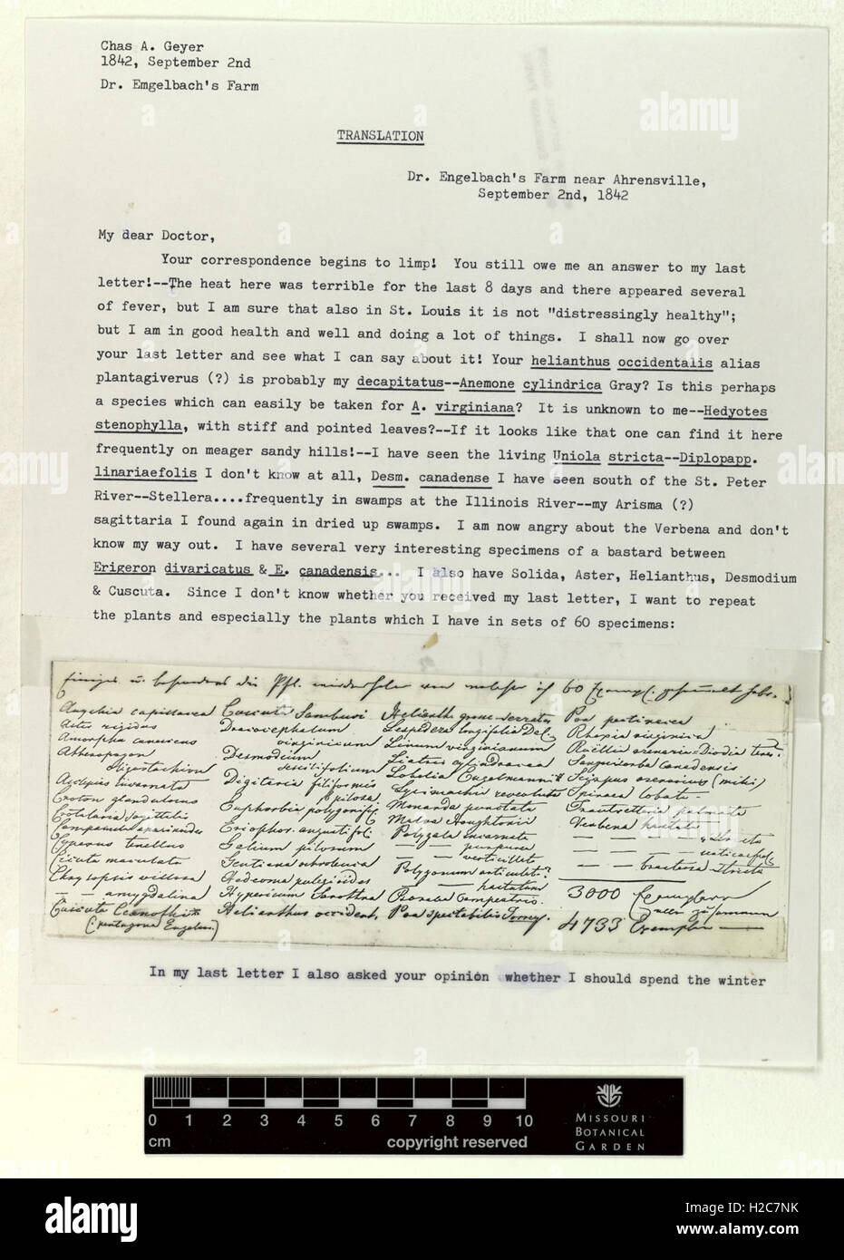This letter exchange between Karl Geyer and George Engelmann from ...