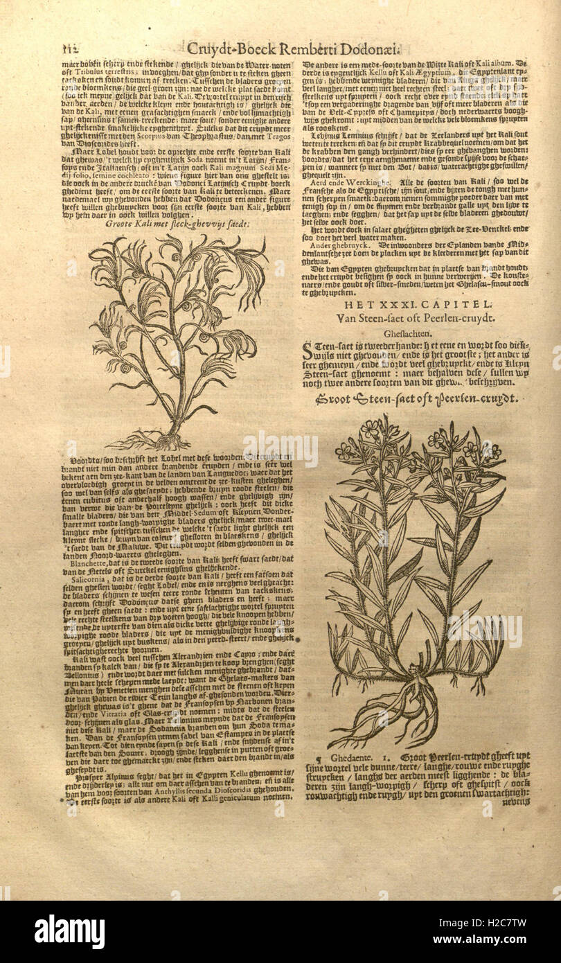 This botanical work details various plants and herbs, including their ...