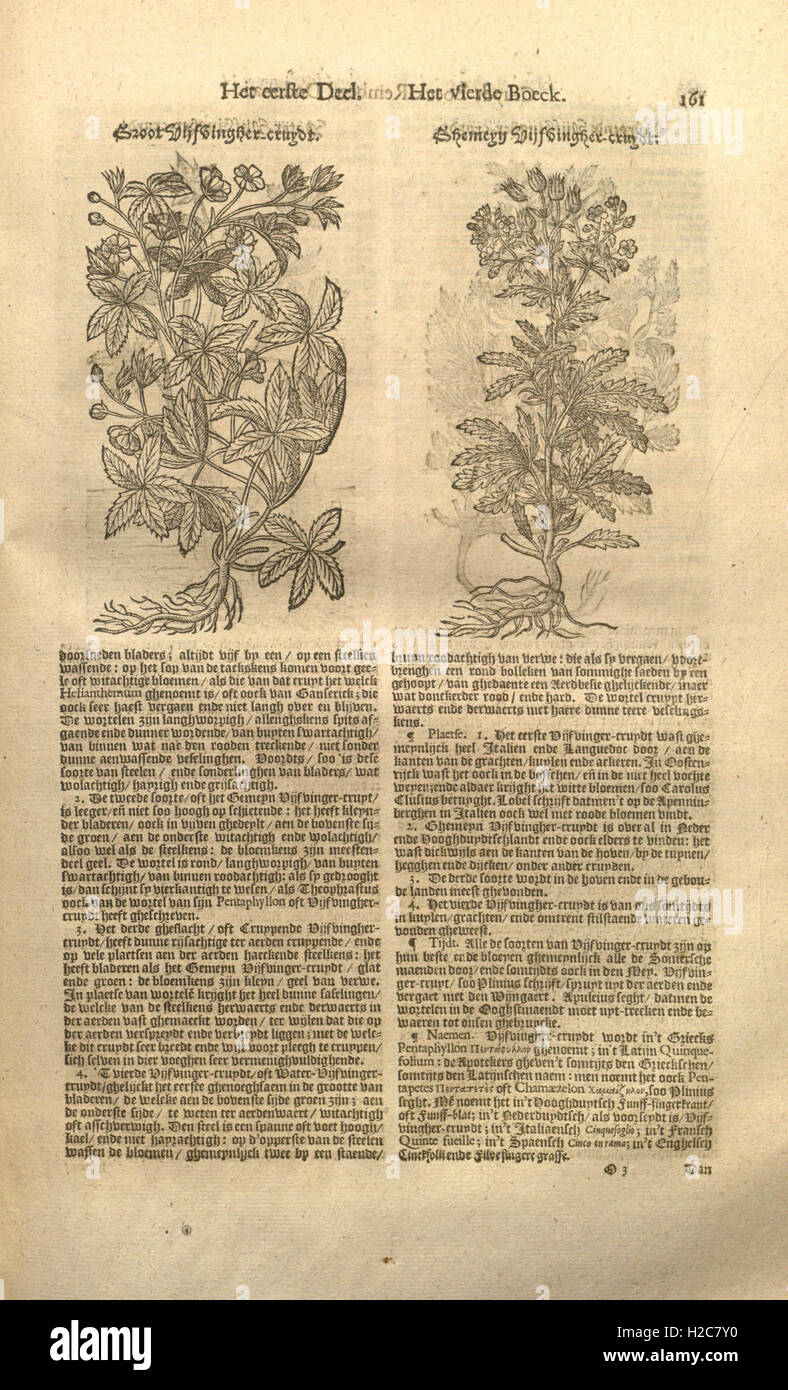 This work, a Dutch botanical text, explores the latest updates and ...