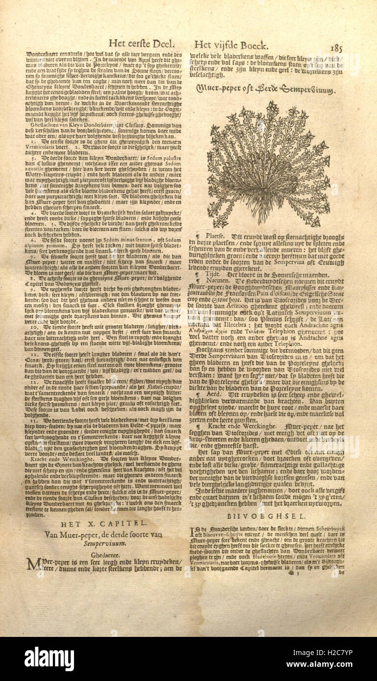 This botanical work provides a detailed description of the plants ...