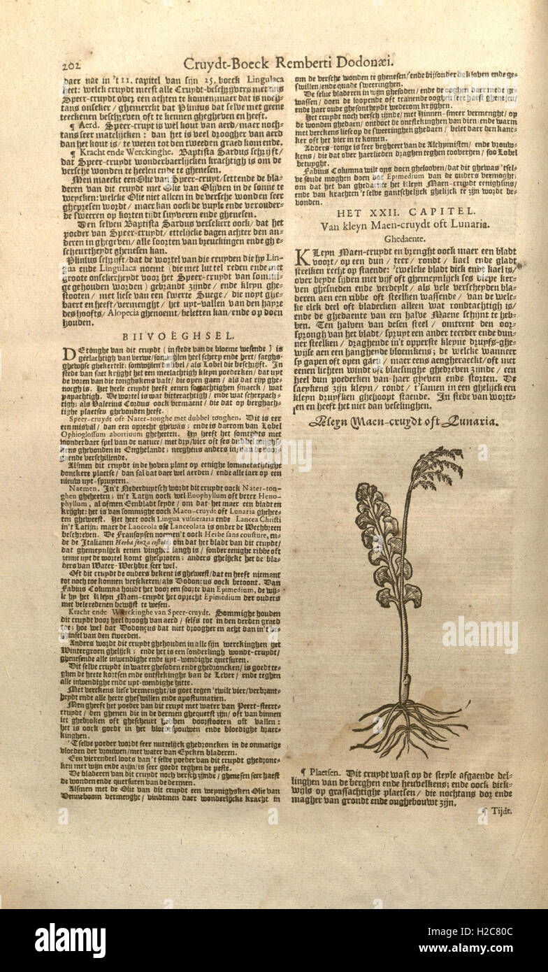 This work provides detailed descriptions of various plants and herbs ...