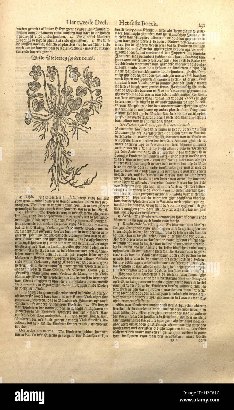 A botanical text by Rembert Dodonaeus, documenting the latest updates ...
