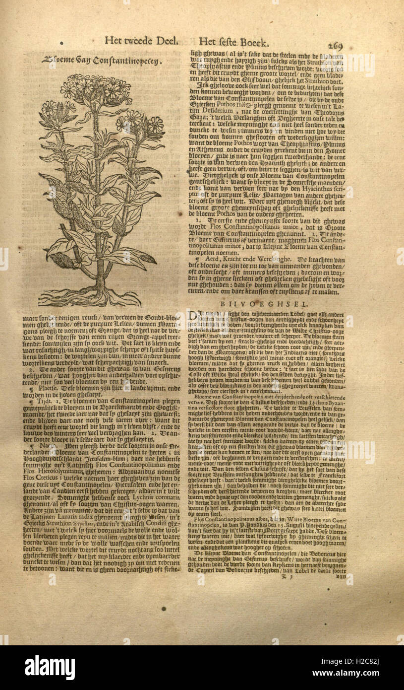 A historical botanical text by Rembert Dodoens, detailing medicinal and ...