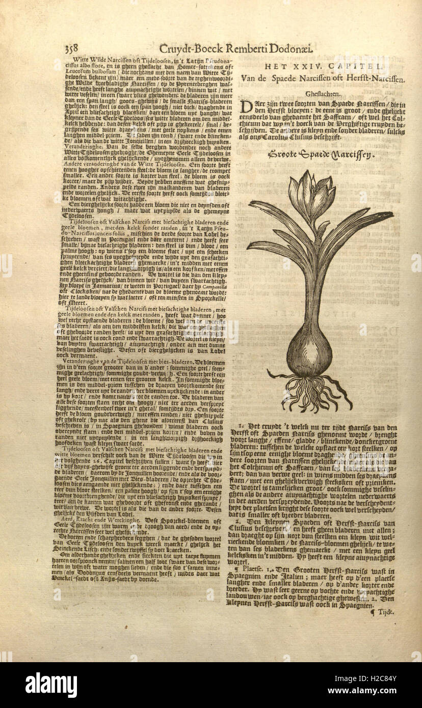 A botanical text by Rembert Dodoens, offering an updated compilation of ...