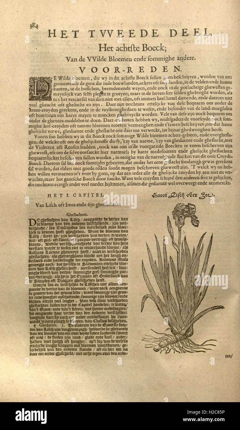 This Dutch work is an updated edition of a botanical book by Rembert ...