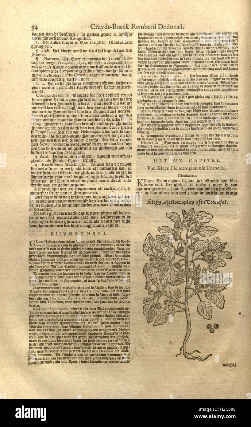 This work, written in Dutch, is a botanical text detailing the latest ...