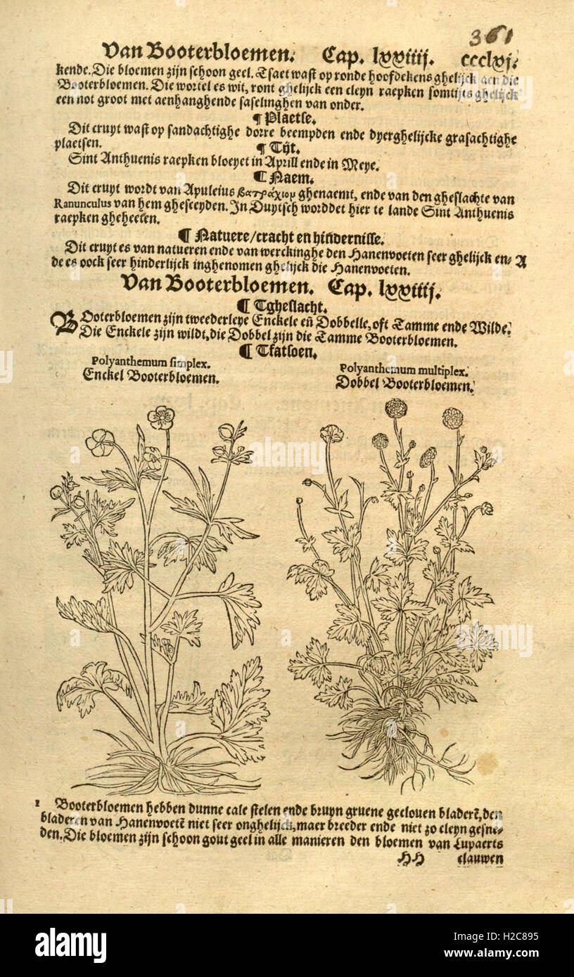 A historical text, potentially related to agriculture, botany, or other ...
