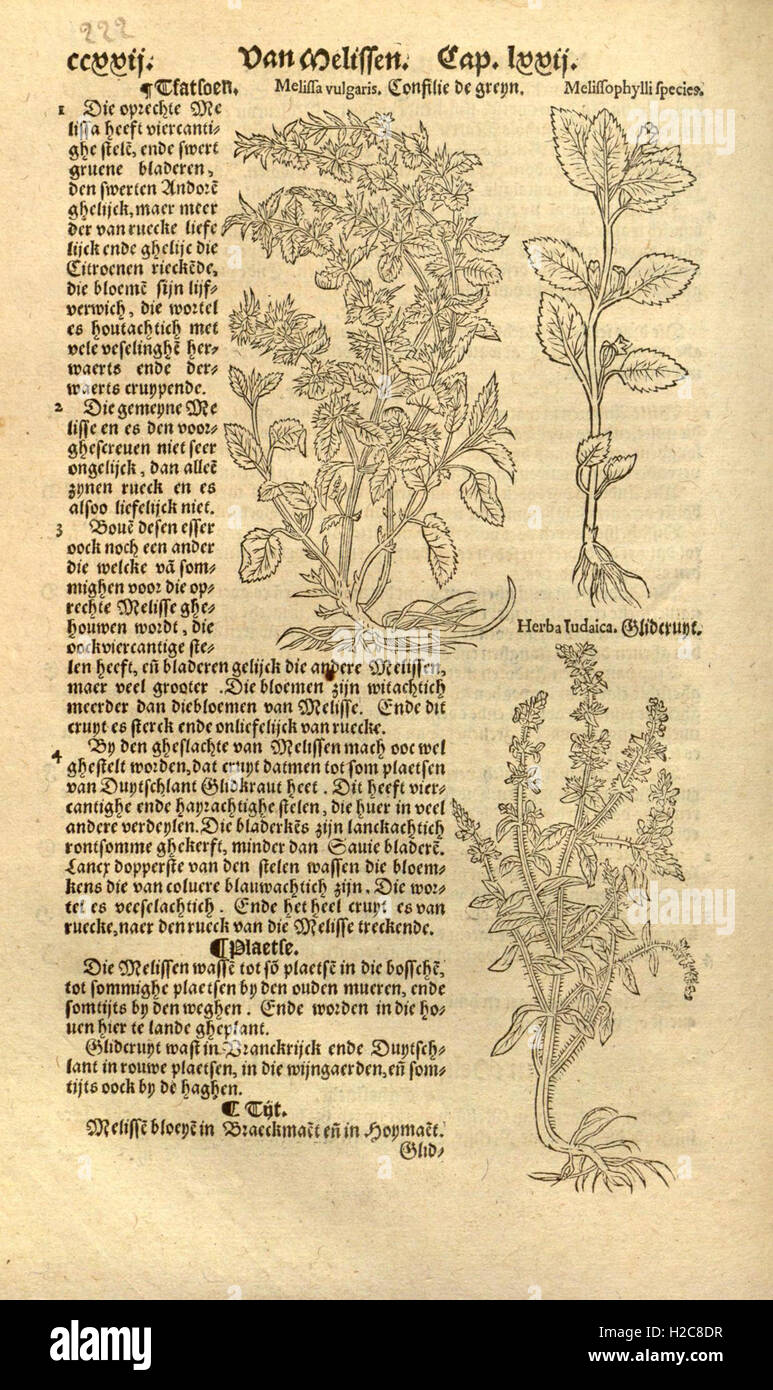 A historical work documenting early writings or manuscripts on various ...