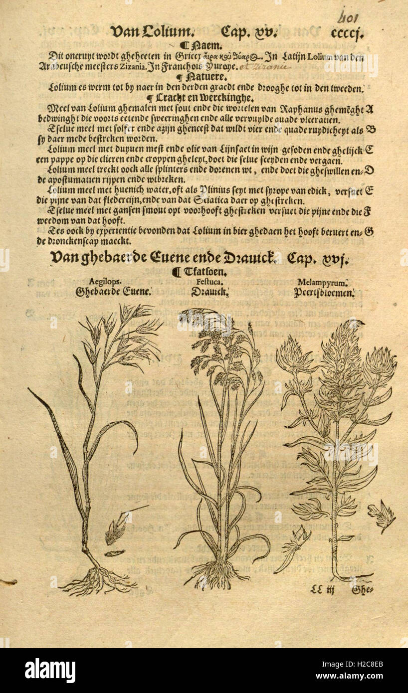 Cdi font hi-res stock photography and images - Alamy