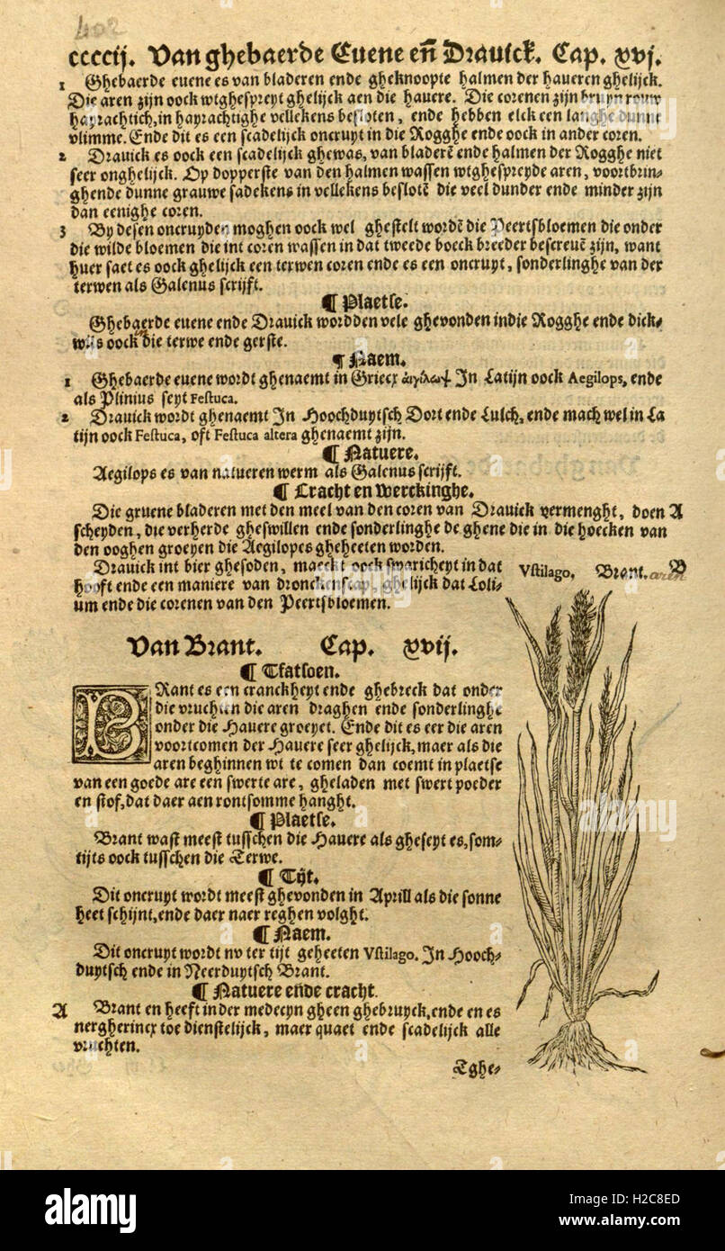 This manuscript is a key historical text in the study of medieval ...