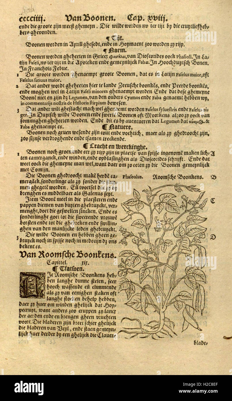 Cruÿde boeck is a 16th-century botanical text that documents various ...