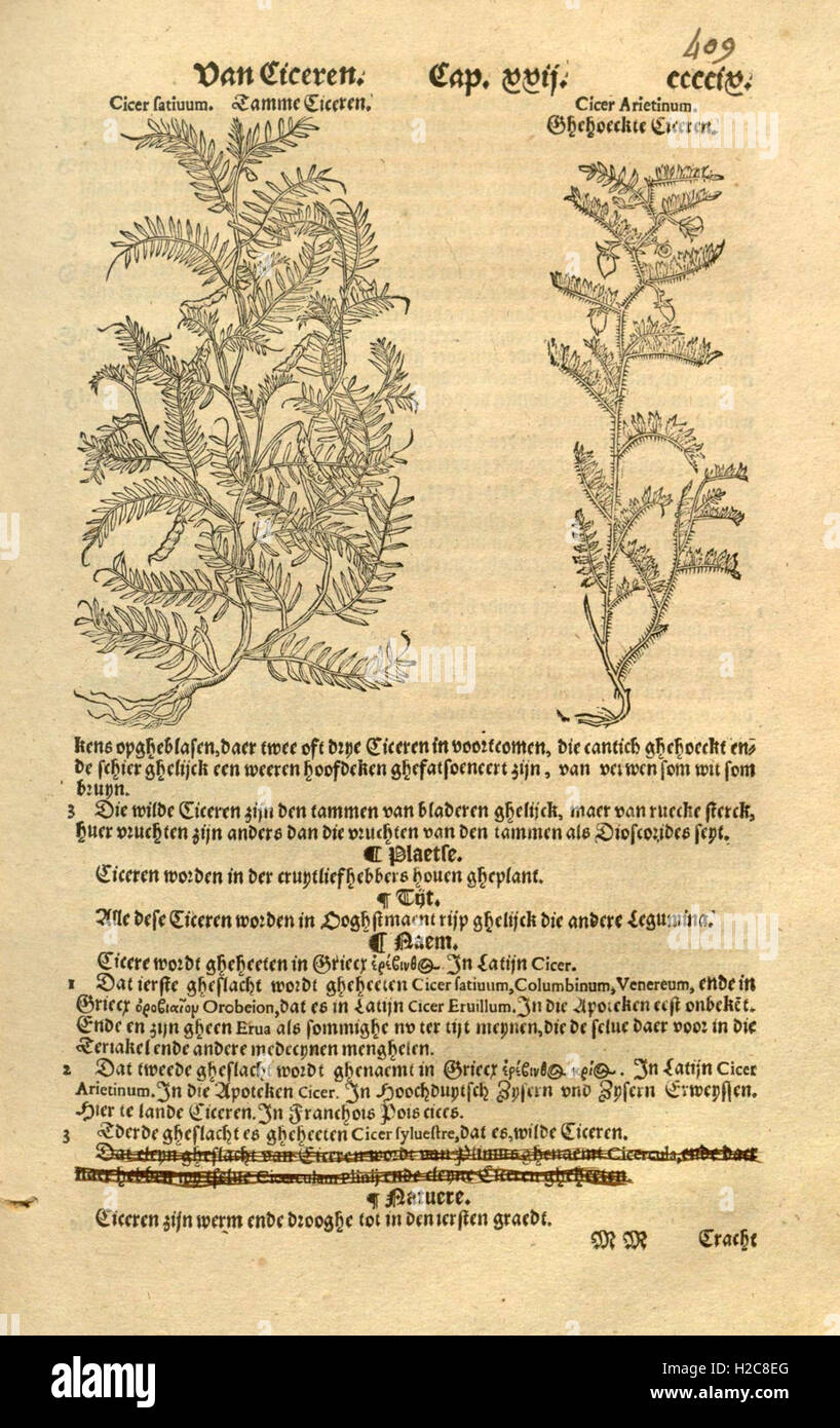 This work provides insights into early botany and plant studies ...