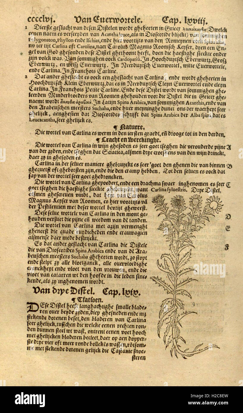 This historical medical manuscript focuses on the early study of ...