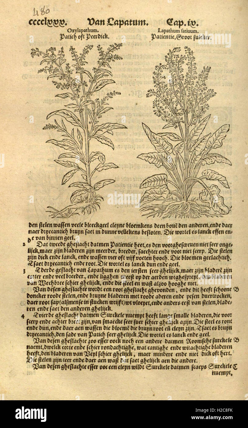 This work presents detailed botanical information on various plants ...