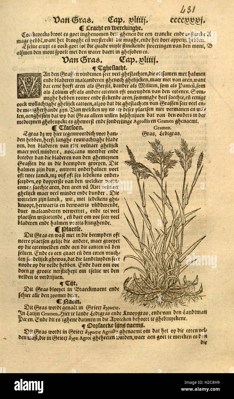 This botanical work focuses on the classification and uses of plants in ...