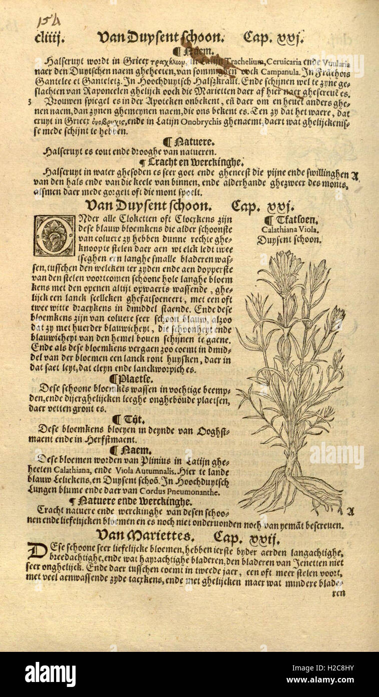 A botanical work documenting the medicinal and practical uses of ...