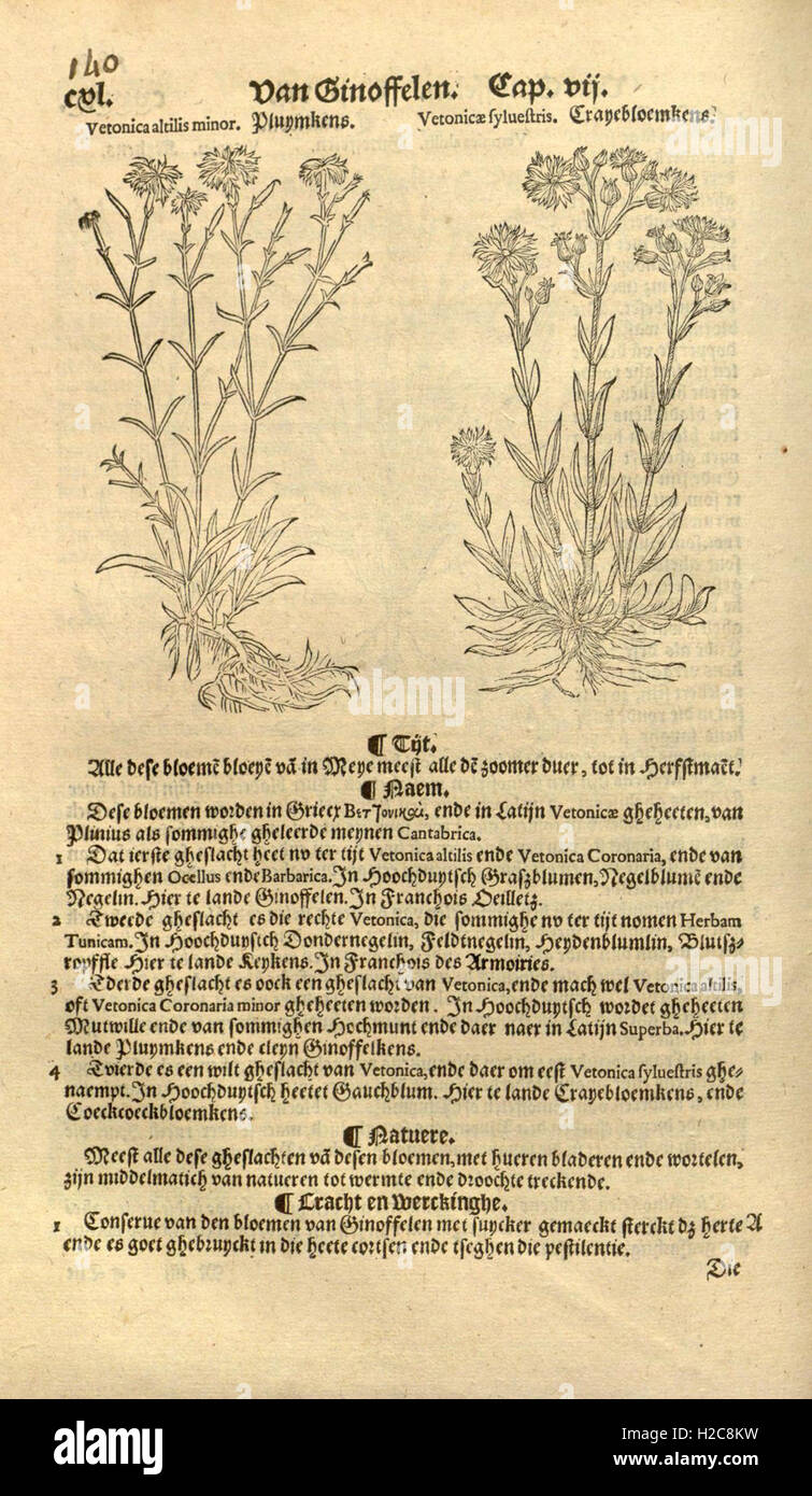 A historical work, possibly detailing early scientific or natural ...