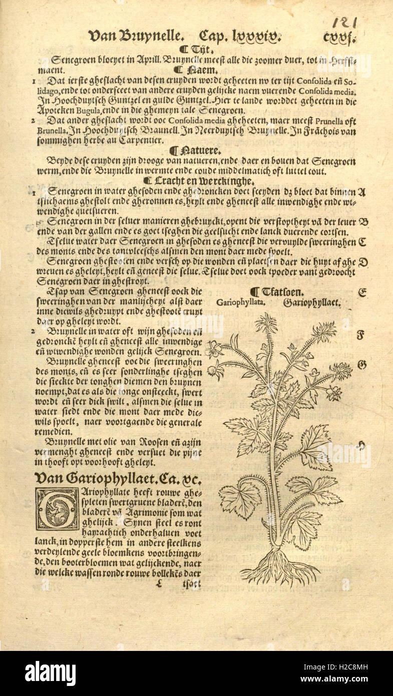 This Dutch work, 'Cru˜de boeck,' includes comprehensive details on ...