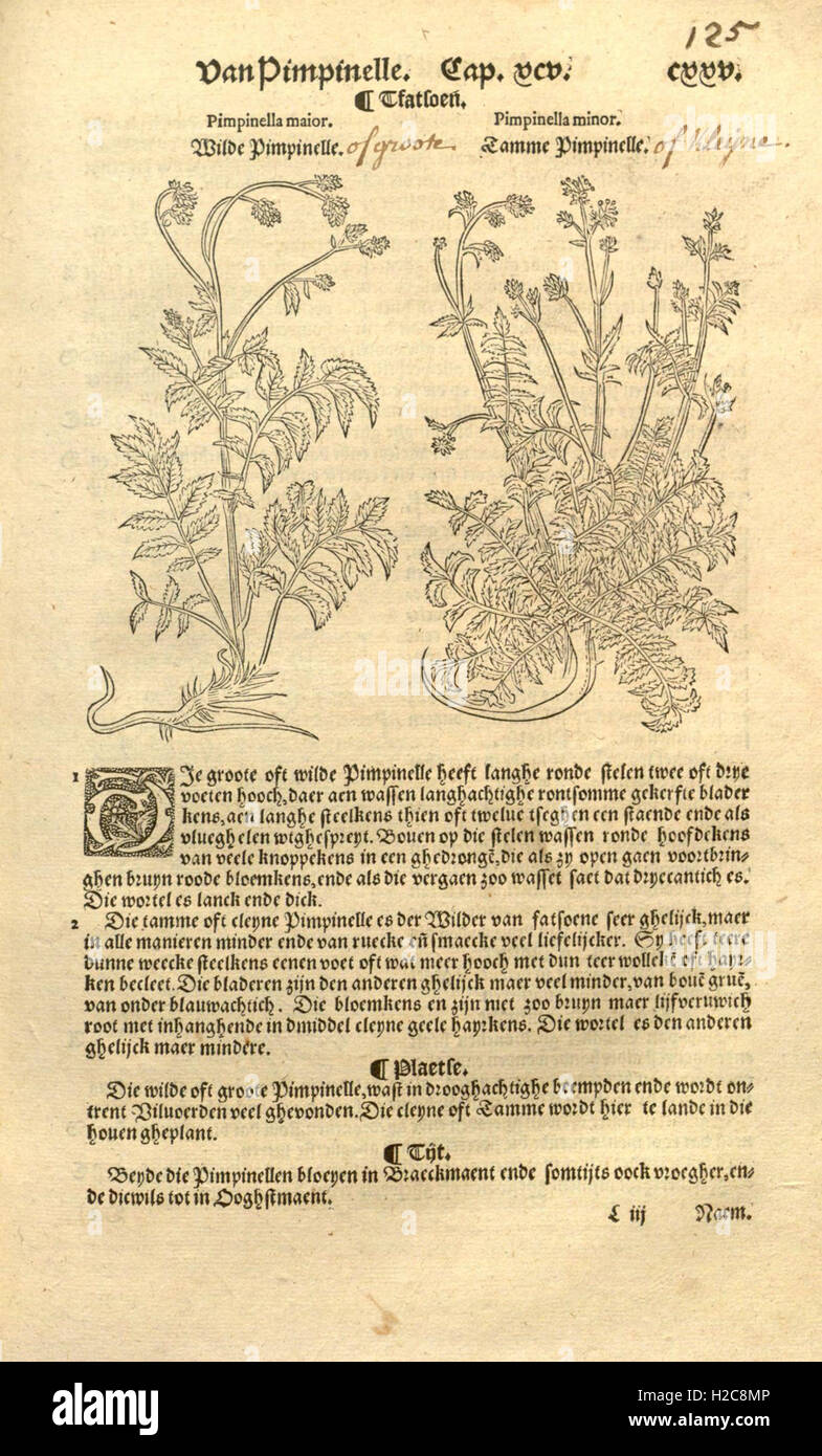 A historical botanical text detailing plant species, with descriptions ...