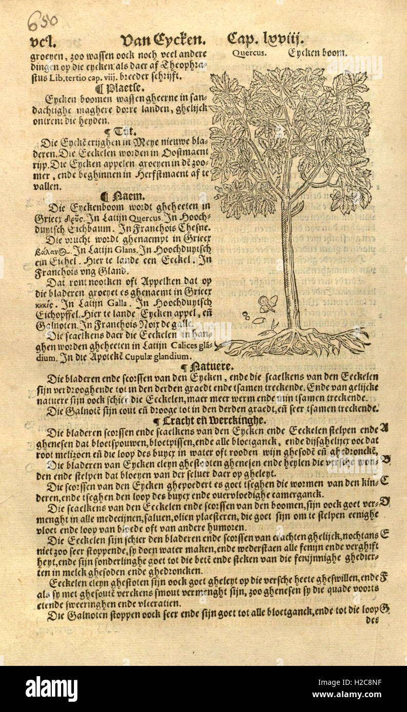 Dcl font hi-res stock photography and images - Alamy