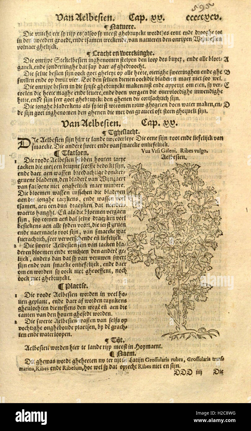 Crŭÿde boeck (Page dxcv Stock Photo - Alamy