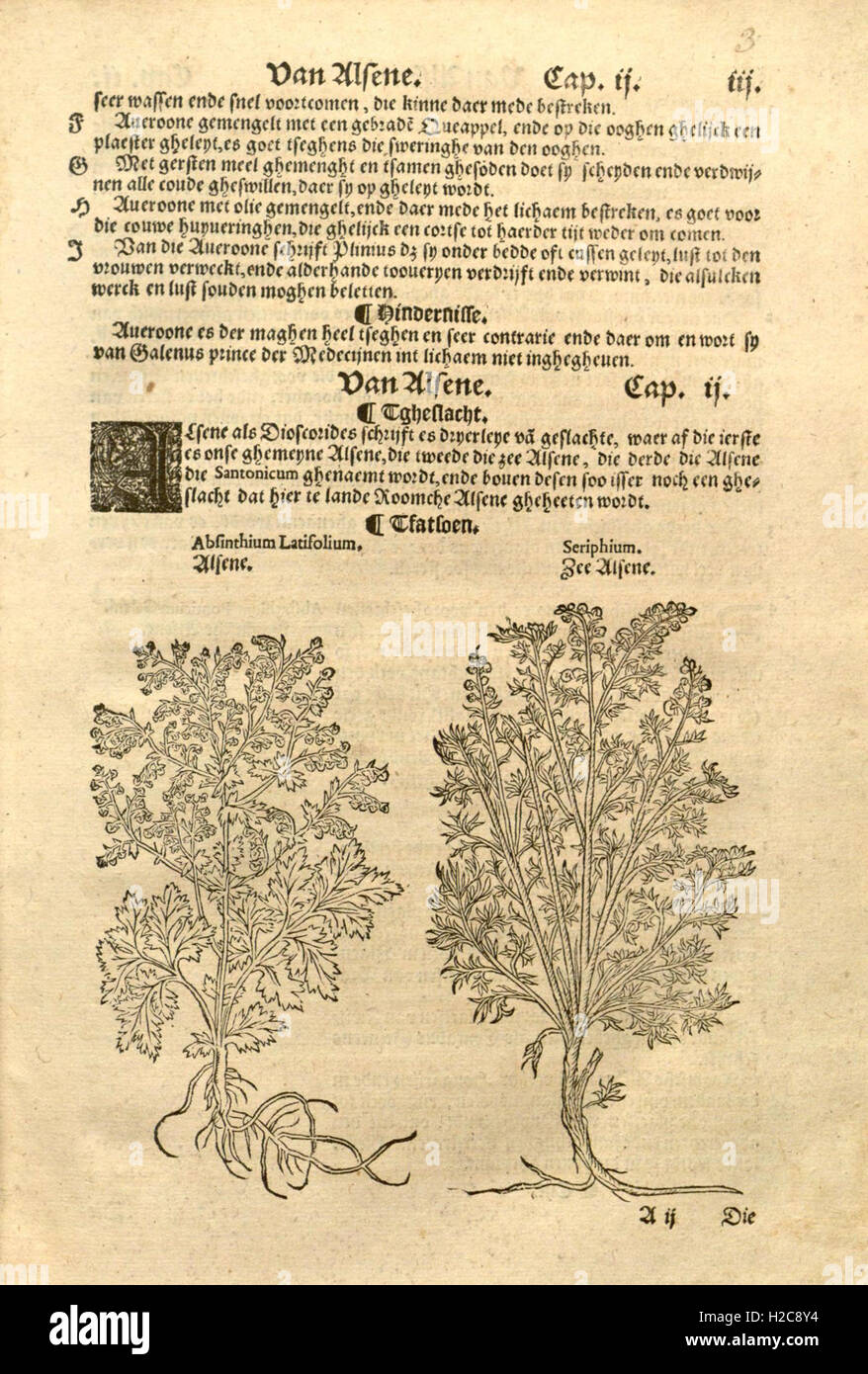 Dutch botanical book hi-res stock photography and images - Alamy