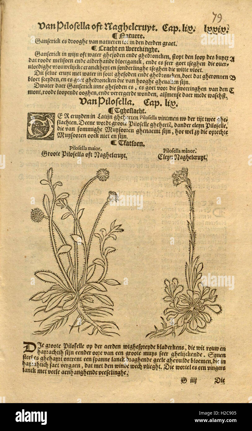 This text provides detailed descriptions and classifications of ...