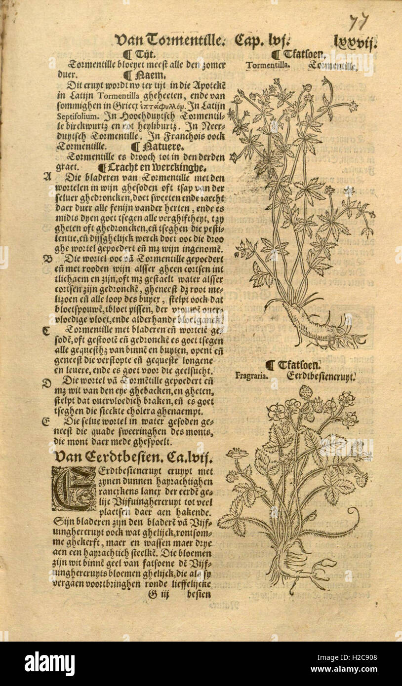This page presents a detailed account of historical medical practices ...