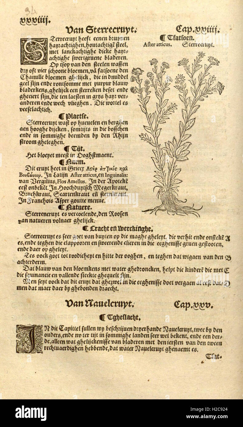 This book is an early botanical text containing a variety of plant ...