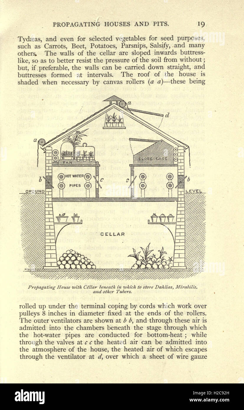 This page details various cultivated plants, focusing on their ...