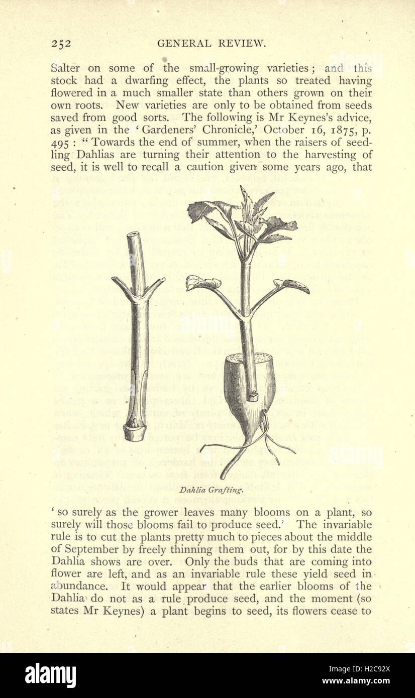 An overview of cultivated plants, detailing various species that are ...