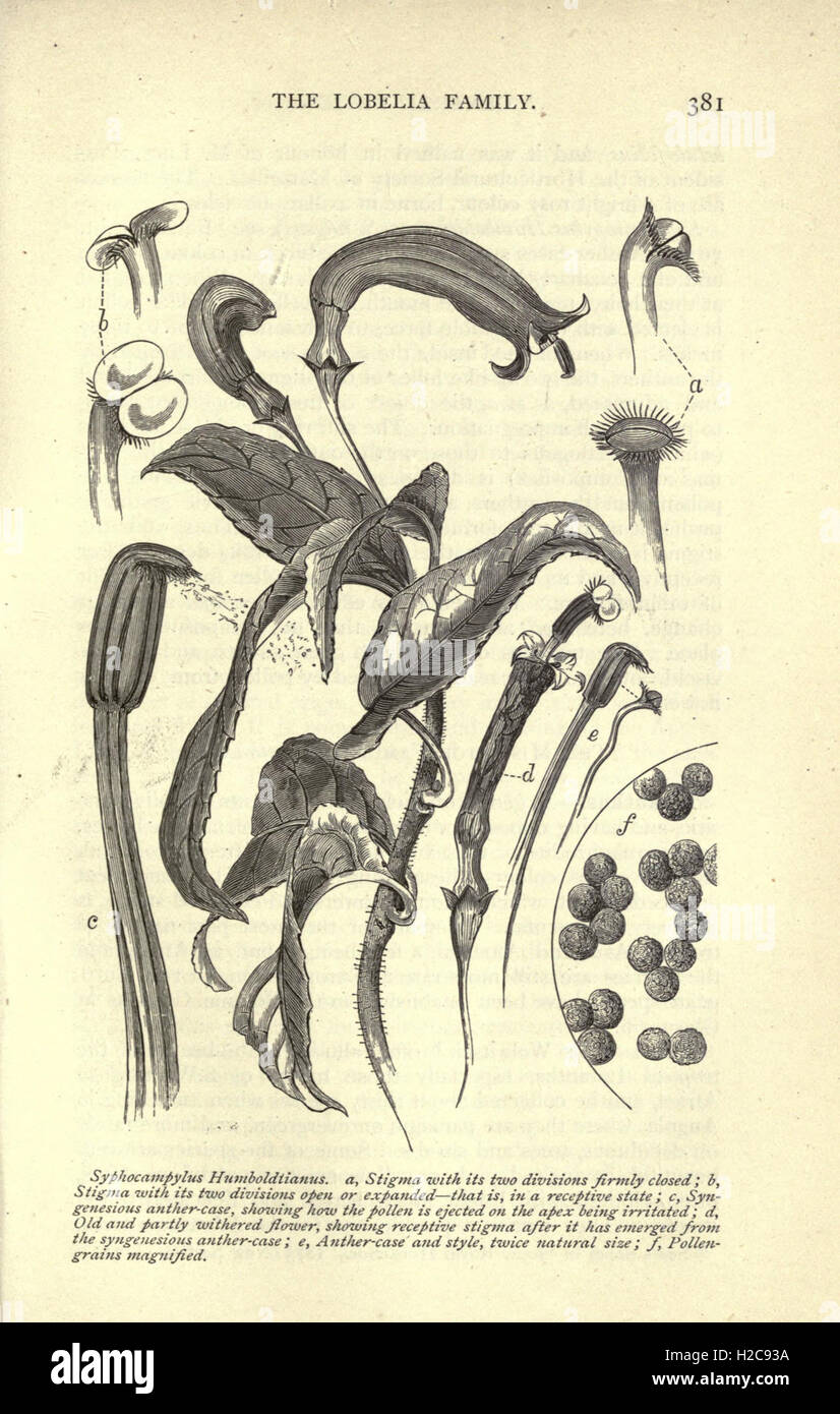 A comprehensive overview of cultivated plants, including their growth ...
