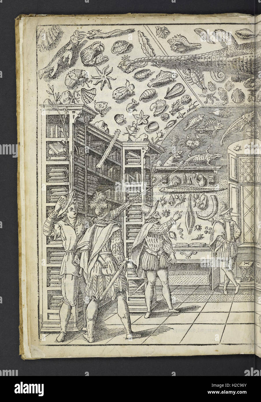 Ferrante Imperato High Resolution Stock Photography and Images - Alamy