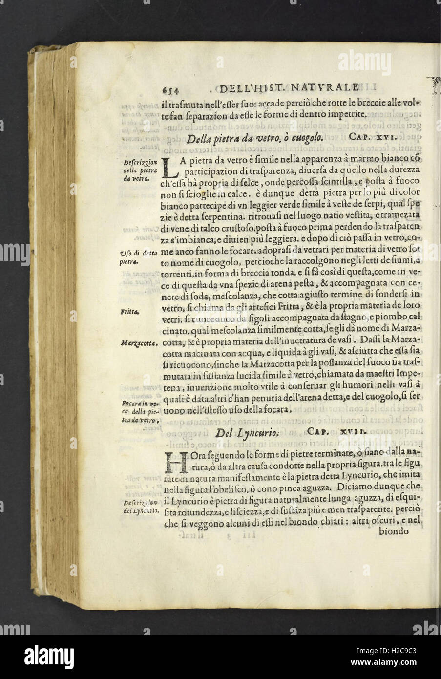 Ferrante Imperato’s work on natural history from Naples, offering ...