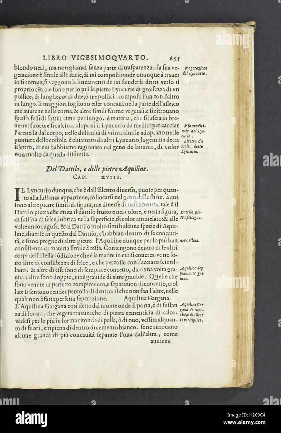 'Dell'historia naturale' by Ferrante Imperato is an early modern work ...