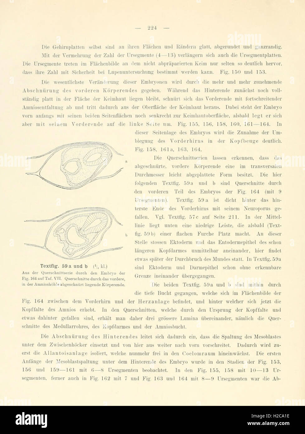 This work covers the developmental history of the common European adder ...