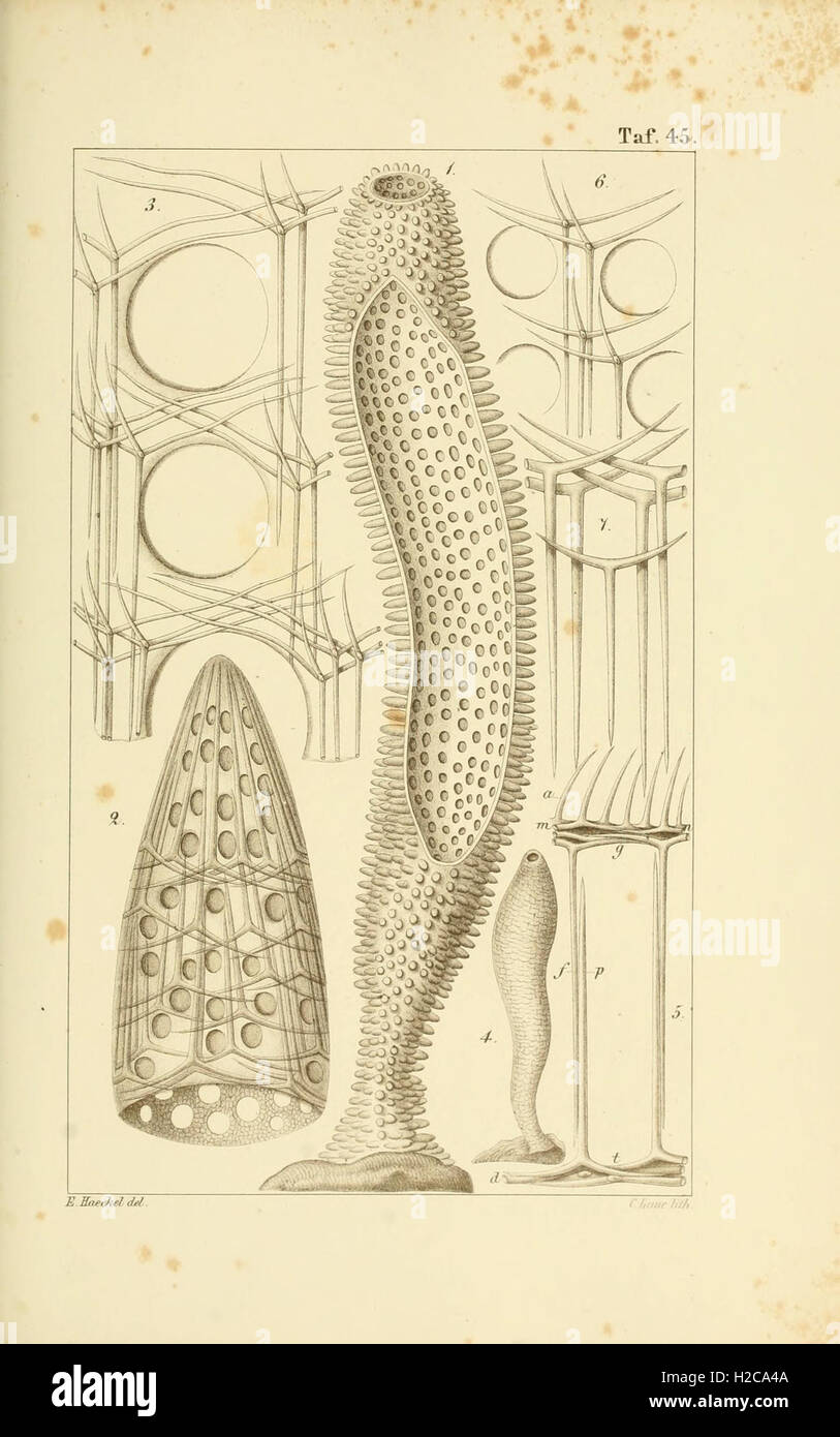 The plate features detailed illustrations and descriptions of ...