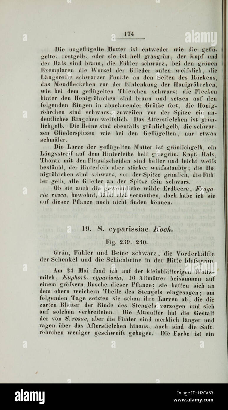 A detailed study on aphids (plant lice), their role in plant ecosystems ...