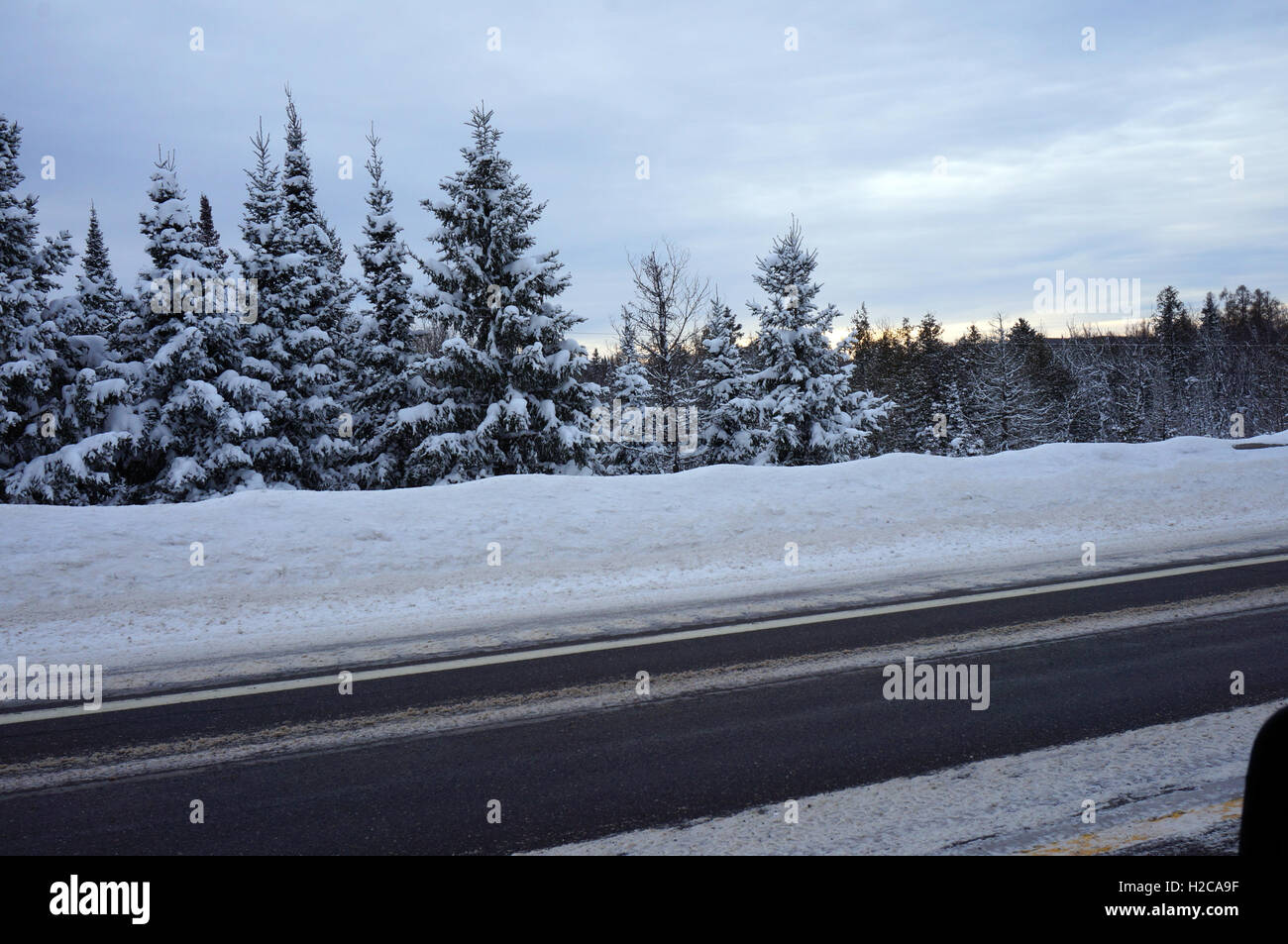 Trees and highway hi-res stock photography and images - Alamy